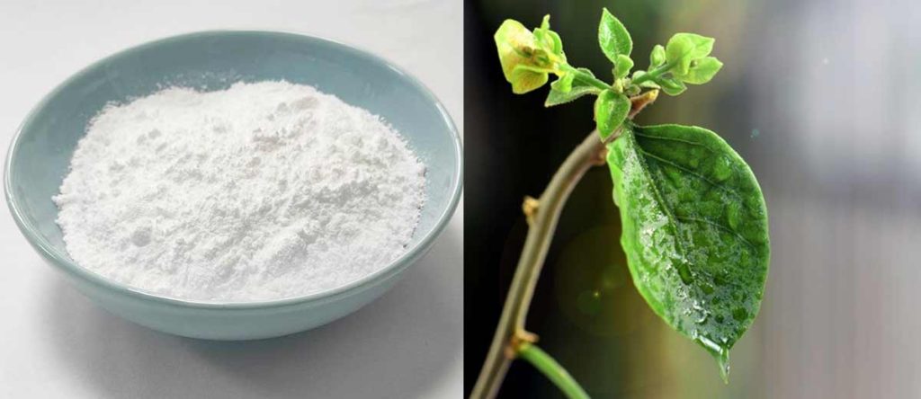 What is disodium octaborate tetrahydrate - Chemical Supplier Unilong